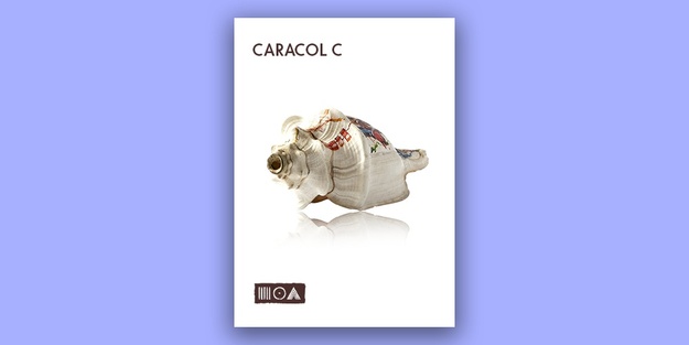 Buy Caracol C | Kontakt Instrument | Plugin Boutique