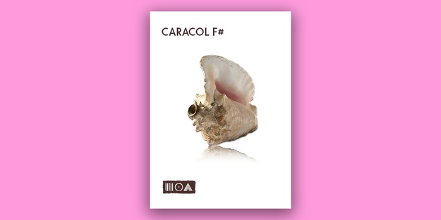 Buy Caracol F# | Kontakt Instrument | Plugin Boutique