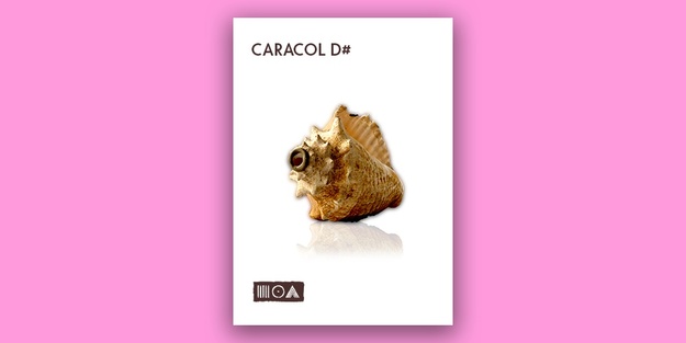 Buy Caracol D# | Kontakt Instrument | Plugin Boutique
