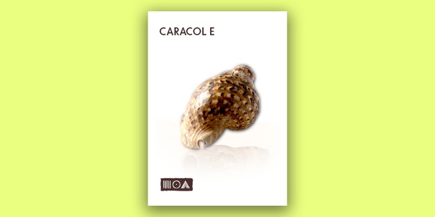 Buy Caracol E | Kontakt Instrument | Plugin Boutique
