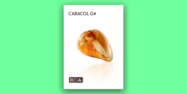 Buy Caracol G# | Kontakt Instrument | Plugin Boutique