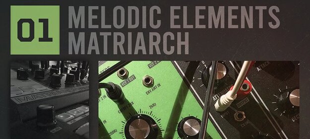 RS Melodic Elements 01 - Matriarch | Plugin Boutique