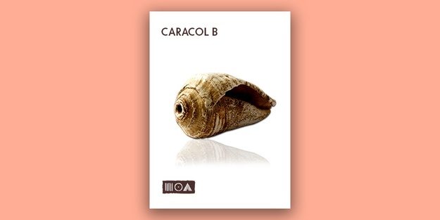 Buy Caracol B | Kontakt Instrument | Plugin Boutique