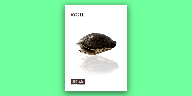 Buy Ayotl | Kontakt Instrument | Plugin Boutique